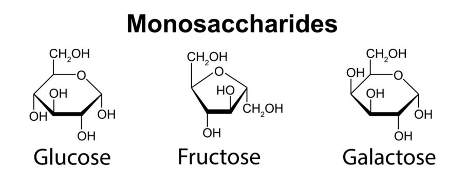 รูปภาพHexose – เลือกดูภาพถ่ายสต็อก เวกเตอร์ และวิดีโอ193 | Adobe Stock