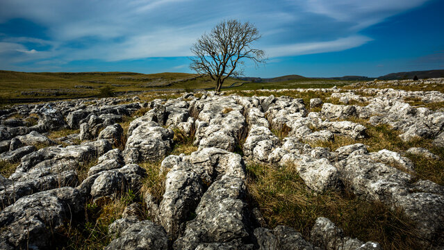 Gryke Immagini - Sfoglia 7,490 foto, vettoriali e video Stock | Adobe Stock