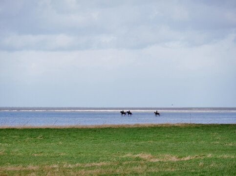 Hintergehen Bilder – Durchsuchen 1,290 Archivfotos, Vektorgrafiken und ...