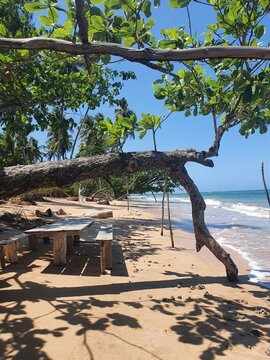 Boipeba Images – Parcourir 1,272 le catalogue de photos, vecteurs et ...