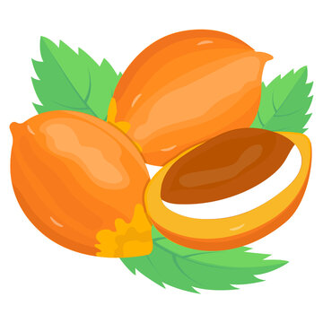 Awara Images – Browse 57 Stock Photos, Vectors, and Video | Adobe Stock