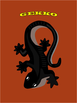 Gekkon Images – Browse 34 Stock Photos, Vectors, and Video | Adobe Stock