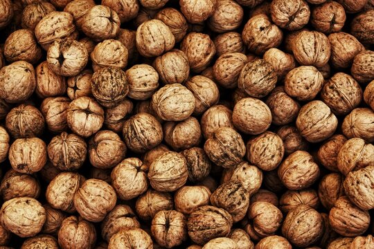 「Chiflado」の画像 - 4,932 件の Stock 写真、ベクターおよびビデオ | Adobe Stock