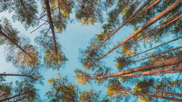 Vertcal Images – Browse 470 Stock Photos, Vectors, and Video | Adobe Stock