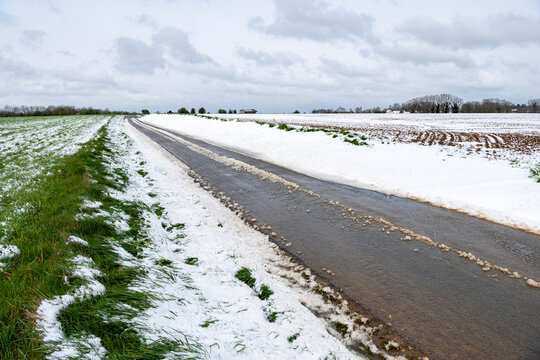 รูปภาพGadoue – เลือกดูภาพถ่ายสต็อก เวกเตอร์ และวิดีโอ116 | Adobe Stock