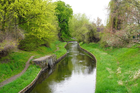 Panke-Bilder: Stock-Fotos & -Videos. | Adobe Stock