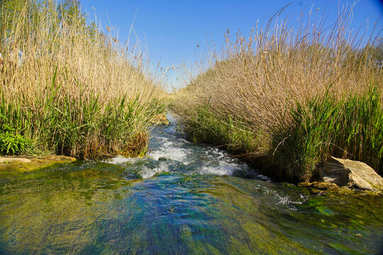 Reeden Images – Browse 26 Stock Photos, Vectors, and Video | Adobe Stock