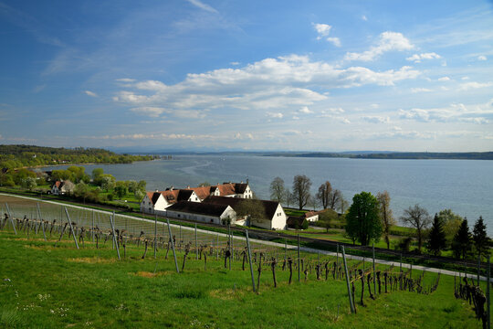 รูปภาพWinzerei – เลือกดูภาพถ่ายสต็อก เวกเตอร์ และวิดีโอ1,018 | Adobe Stock