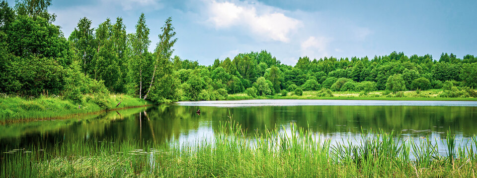 Calming Green Background Images – Browse 752,857 Stock Photos, Vectors ...