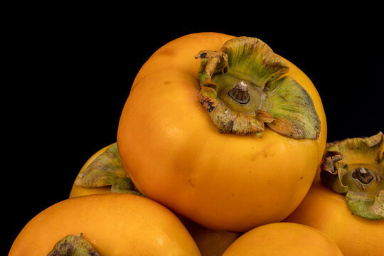 Kaka Bilder – Durchsuchen 830 Archivfotos, Vektorgrafiken und Videos ...