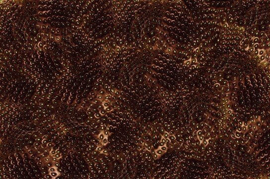 Aeneous Images – Browse 332 Stock Photos, Vectors, and Video | Adobe Stock