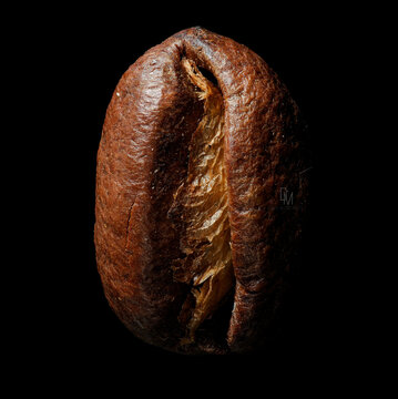 「Caryopse」の画像 - 21,452 件の Stock 写真、ベクターおよびビデオ | Adobe Stock