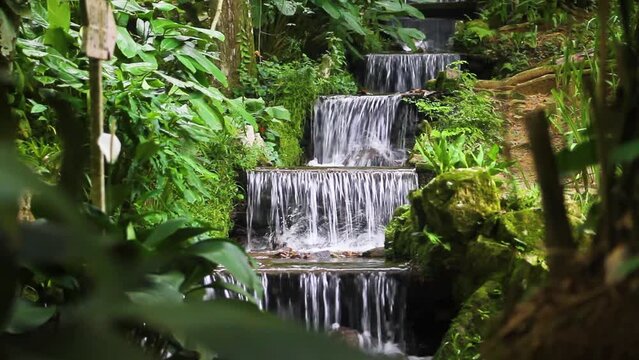 รูปภาพHorto – เลือกดูภาพถ่ายสต็อก เวกเตอร์ และวิดีโอ269 | Adobe Stock