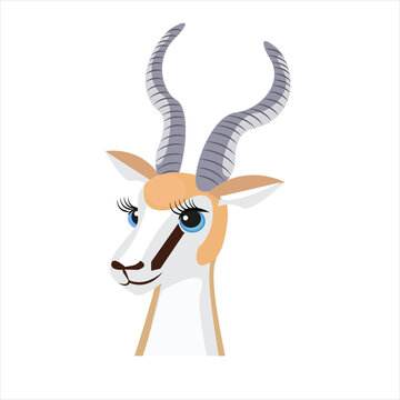 South African National Animal