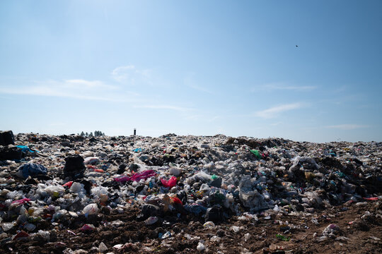 รูปภาพGabage – เลือกดูภาพถ่ายสต็อก เวกเตอร์ และวิดีโอ270 | Adobe Stock