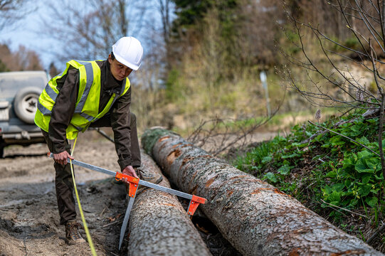 Forestry Worker