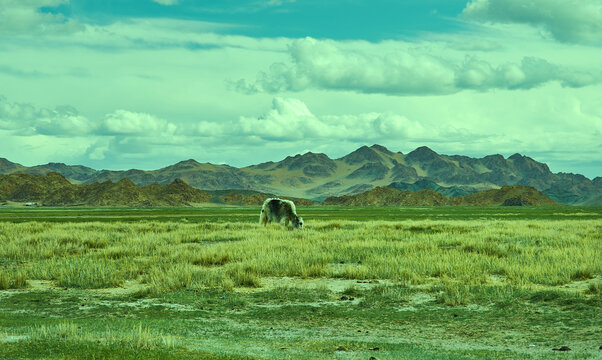 Ulan-Baishint Images – Browse 20 Stock Photos, Vectors, and Video ...