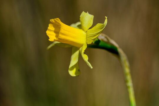 "Tete A Tete" Images – Browse 643 Stock Photos, Vectors, and Video ...