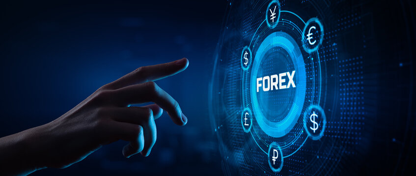 Buyer Images – Browse 4,526,090 Stock Photos, Vectors, and Video ...