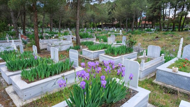 "Muslim Cemetery" Images – Browse 184 Stock Photos, Vectors, and Video | Adobe Stock