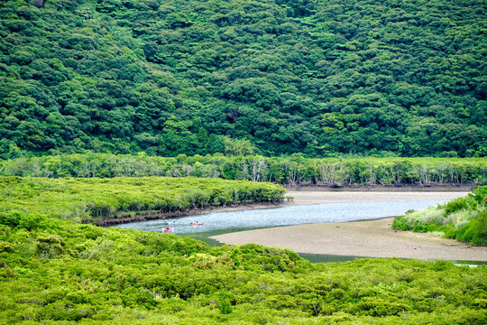 Subtropen Bilder – Durchsuchen 23,990 Archivfotos, Vektorgrafiken und ...