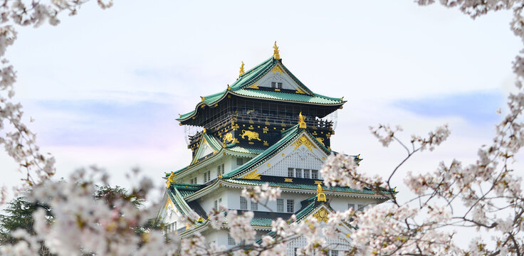 รูปภาพShogun – เลือกดูภาพถ่ายสต็อก เวกเตอร์ และวิดีโอ9,856 | Adobe Stock