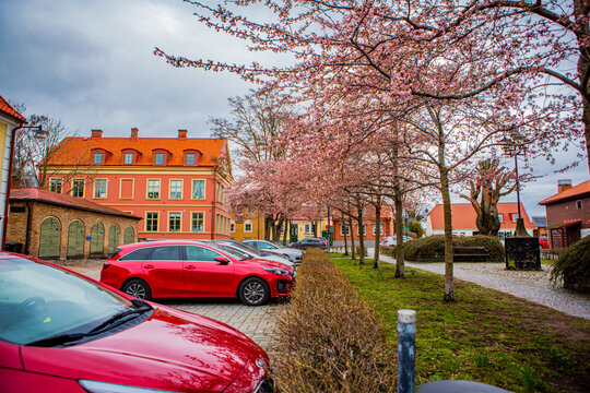 Solvesborg-Bilder: Stock-Fotos & -Videos. | Adobe Stock