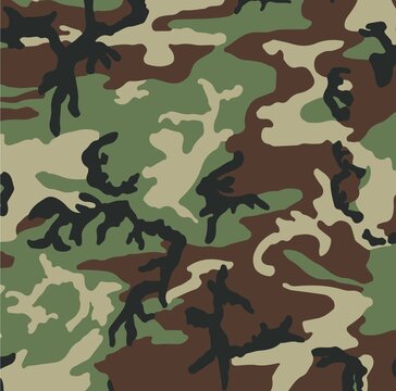 Free Camo Images – Browse 368 Free Stock Photos, Vectors, and Video ...