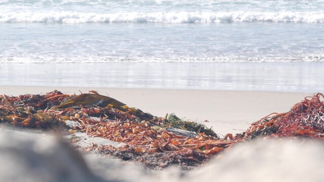 Beach Cinemagraph Images – Browse 400 Stock Photos, Vectors, and Video ...