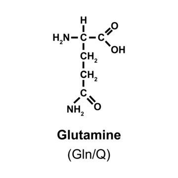 Glutamine Amino Acid Structure