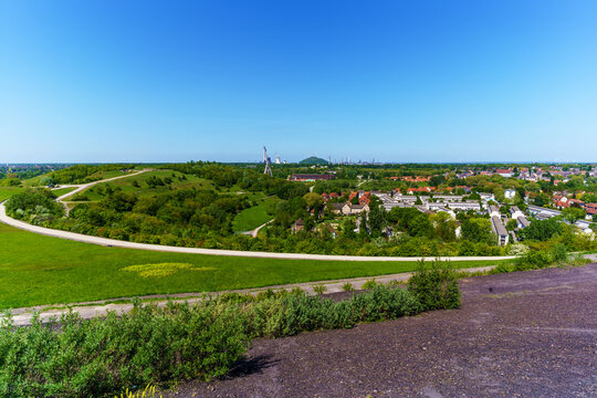 Gelse Bilder – Durchsuchen 577 Archivfotos, Vektorgrafiken und Videos ...