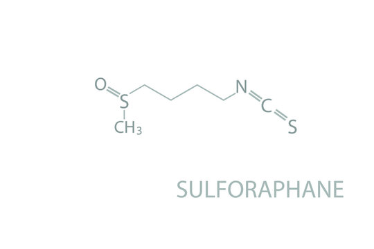 「Sulforaphane」の画像 - 1,538 件の Stock 写真、ベクターおよびビデオ | Adobe Stock