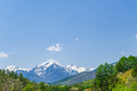 連 Images – Browse 989 Stock Photos, Vectors, and Video | Adobe Stock