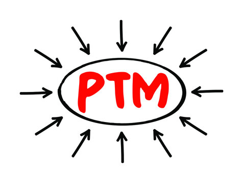 Ptm Clipart People