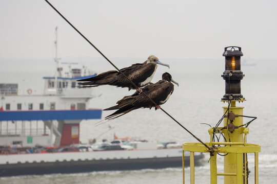 "Ships Mast" Images – Browse 52 Stock Photos, Vectors, and Video ...
