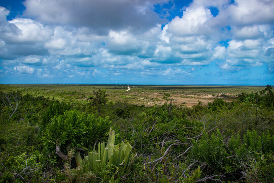 Codrington Images – Browse 34 Stock Photos, Vectors, and Video | Adobe ...