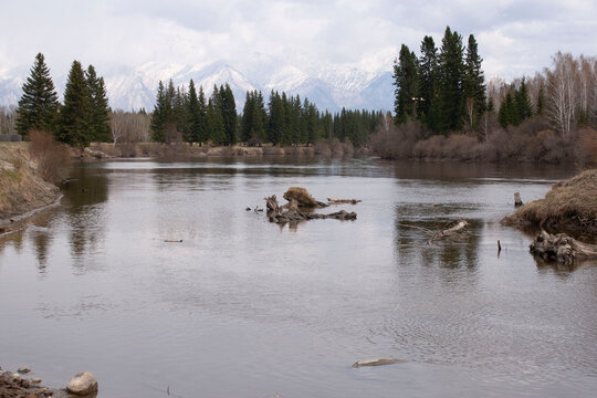 รูปภาพTunka – เลือกดูภาพถ่ายสต็อก เวกเตอร์ และวิดีโอ1,421 | Adobe Stock