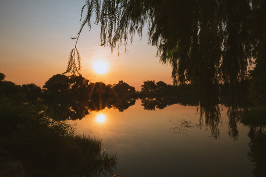 Ahuehuete Bilder – Durchsuchen 239 Archivfotos, Vektorgrafiken und ...