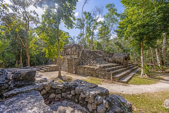 รูปภาพCoba – เลือกดูภาพถ่ายสต็อก เวกเตอร์ และวิดีโอ2,668 | Adobe Stock