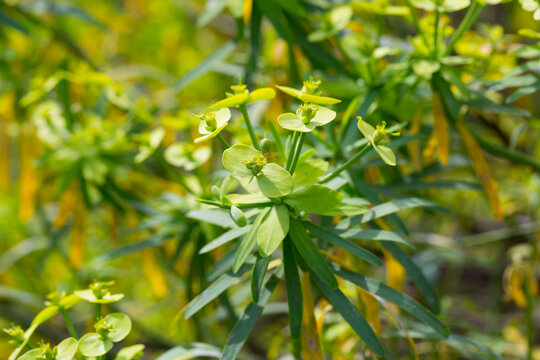 「Juba」の画像 - 1,582 件の Stock 写真、ベクターおよびビデオ | Adobe Stock
