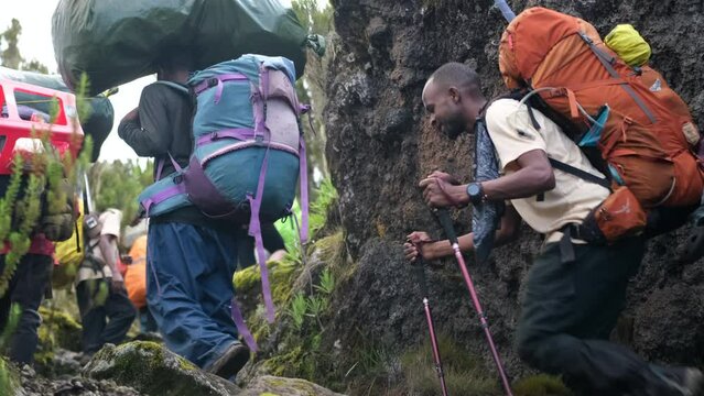 Afro-Alpine Images – Browse 73 Stock Photos, Vectors, and Video | Adobe ...