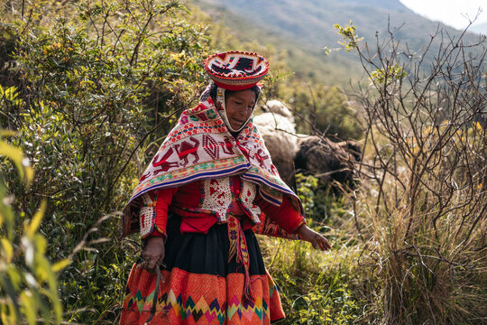 รูปภาพQuecha – เลือกดูภาพถ่ายสต็อก เวกเตอร์ และวิดีโอ9,232 | Adobe Stock