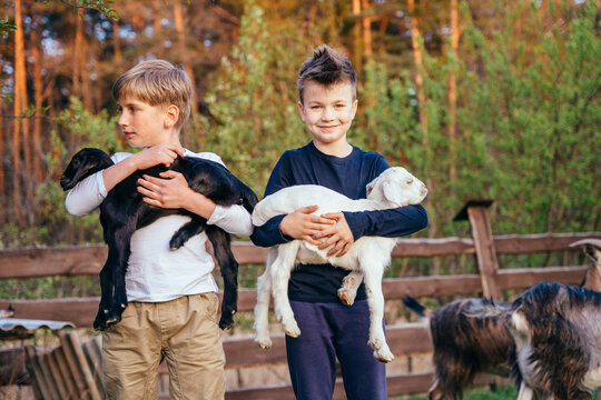 "Two Boys" Images – Browse 938 Stock Photos, Vectors, and Video | Adobe ...