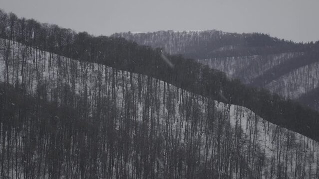 "Slow Pan" Images – Parcourir 1,078 le catalogue de photos, vecteurs et ...