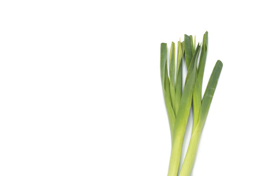 Negi Bilder – Durchsuchen 335 Archivfotos, Vektorgrafiken und Videos ...