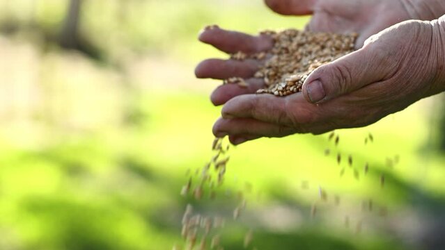 "Hands Unity" Images – Browse 44 Stock Photos, Vectors, and Video ...