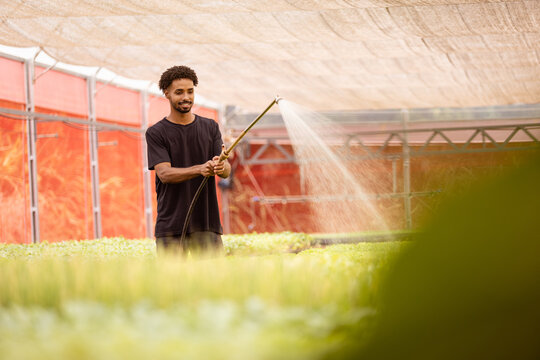 Regando Images – Browse 377 Stock Photos, Vectors, and Video | Adobe Stock