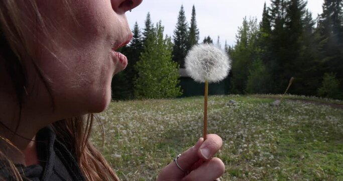 Woman Blowing Dandelion Images – Browse 10,216 Stock Photos, Vectors ...