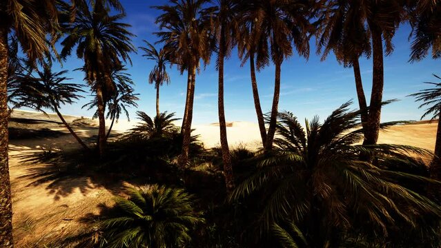 Imagens de Awbari – Explore Fotografias do Stock, Vetores e Vídeos de ...