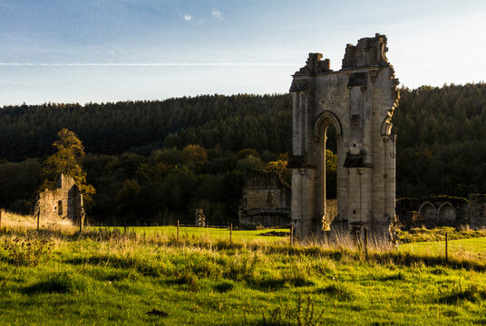 Ruing Billeder – Gennemse 152,857 stockfotos, vektorer og videoer ...